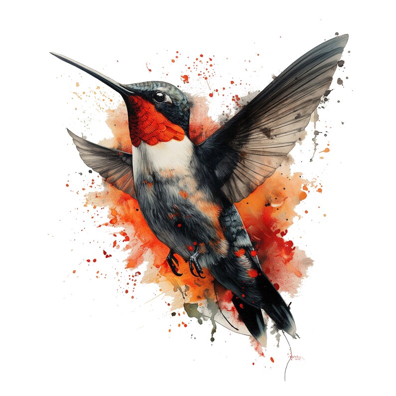 14 Vibrant Watercolor Hummingbirds PNG - High-res Transparent Digital ...