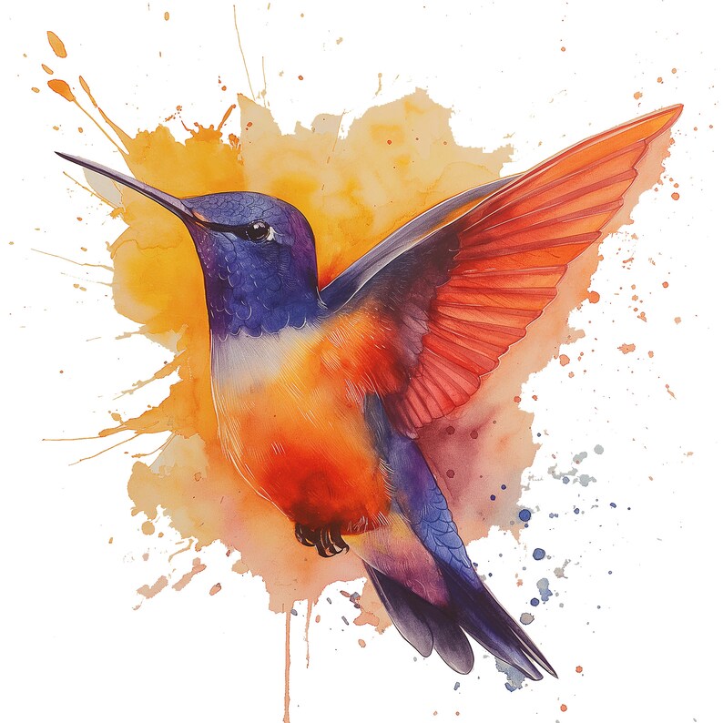 14 Vibrant Watercolor Hummingbirds PNG High-res Transparent Digital ...