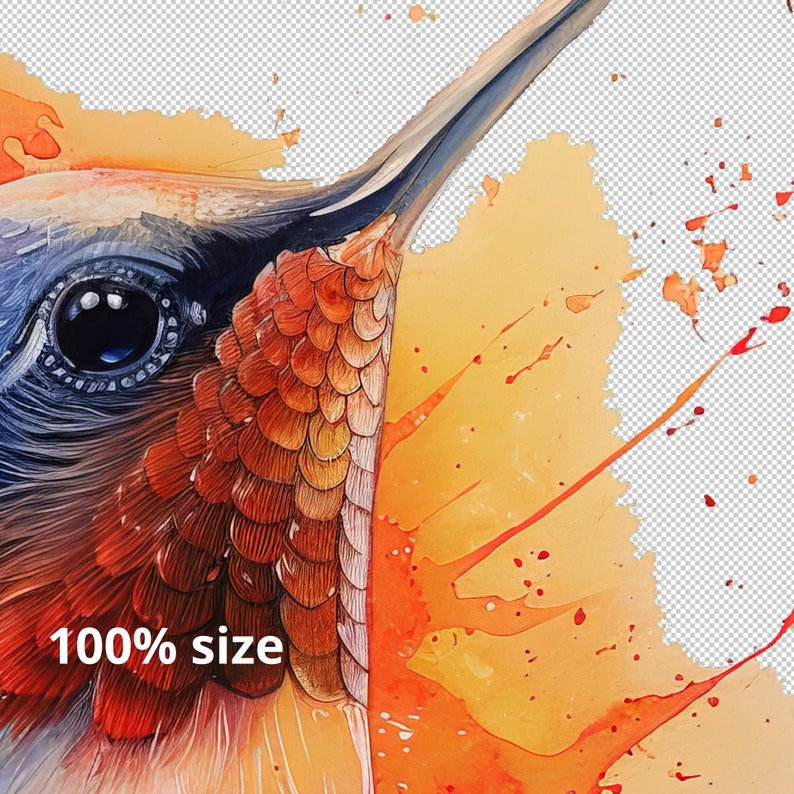 14 Vibrant Watercolor Hummingbirds PNG High-res Transparent Digital ...