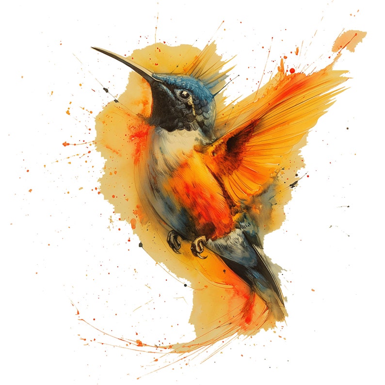 14 Vibrant Watercolor Hummingbirds PNG High-res Transparent Digital ...