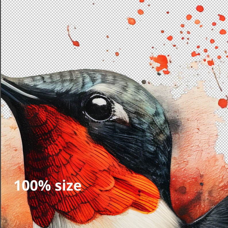 14 Vibrant Watercolor Hummingbirds PNG - High-res Transparent Digital ...