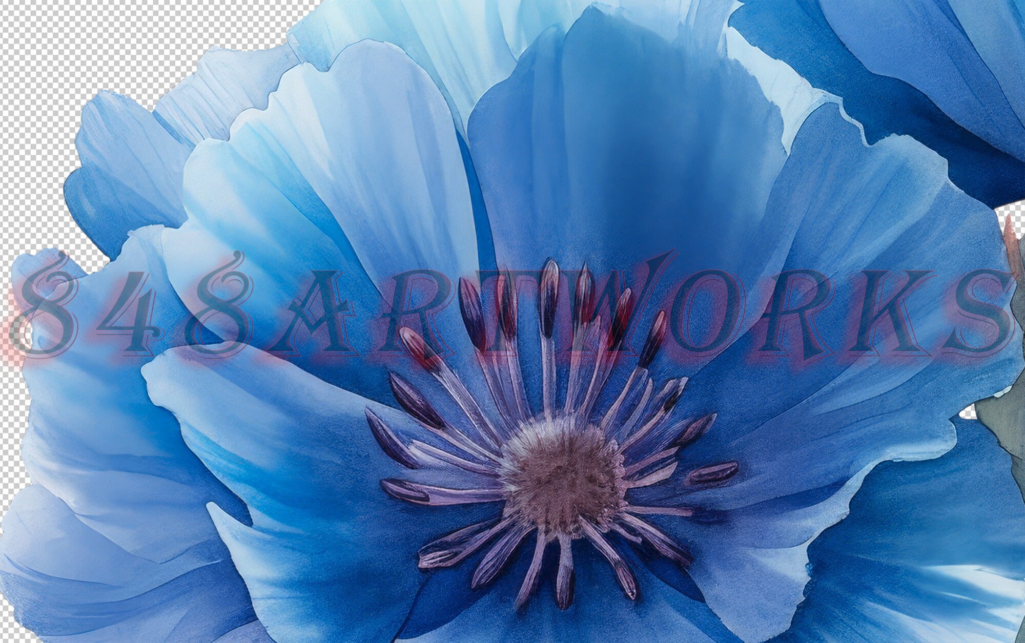 Watercolor Cornflowers Clipart, Wild Flowers, 8 High Quality PNG With ...