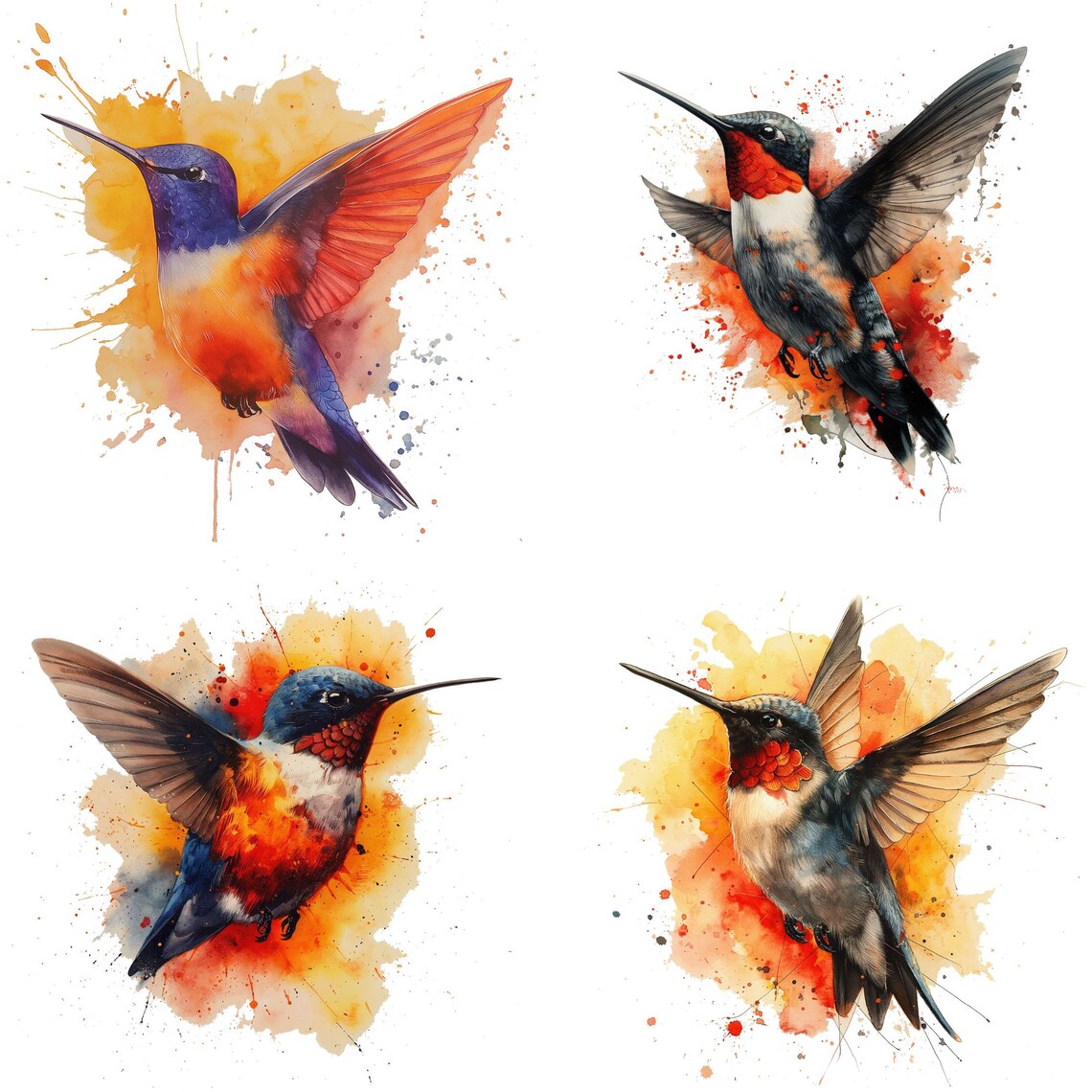 14 Vibrant Watercolor Hummingbirds PNG High-res Transparent Digital ...