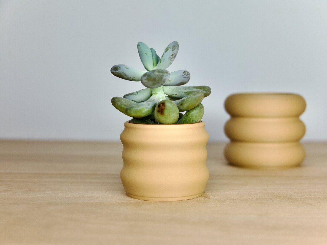 Sculpted Modern Organic Planter Stylish Eco-friendly Indoor Pot Elegant ...