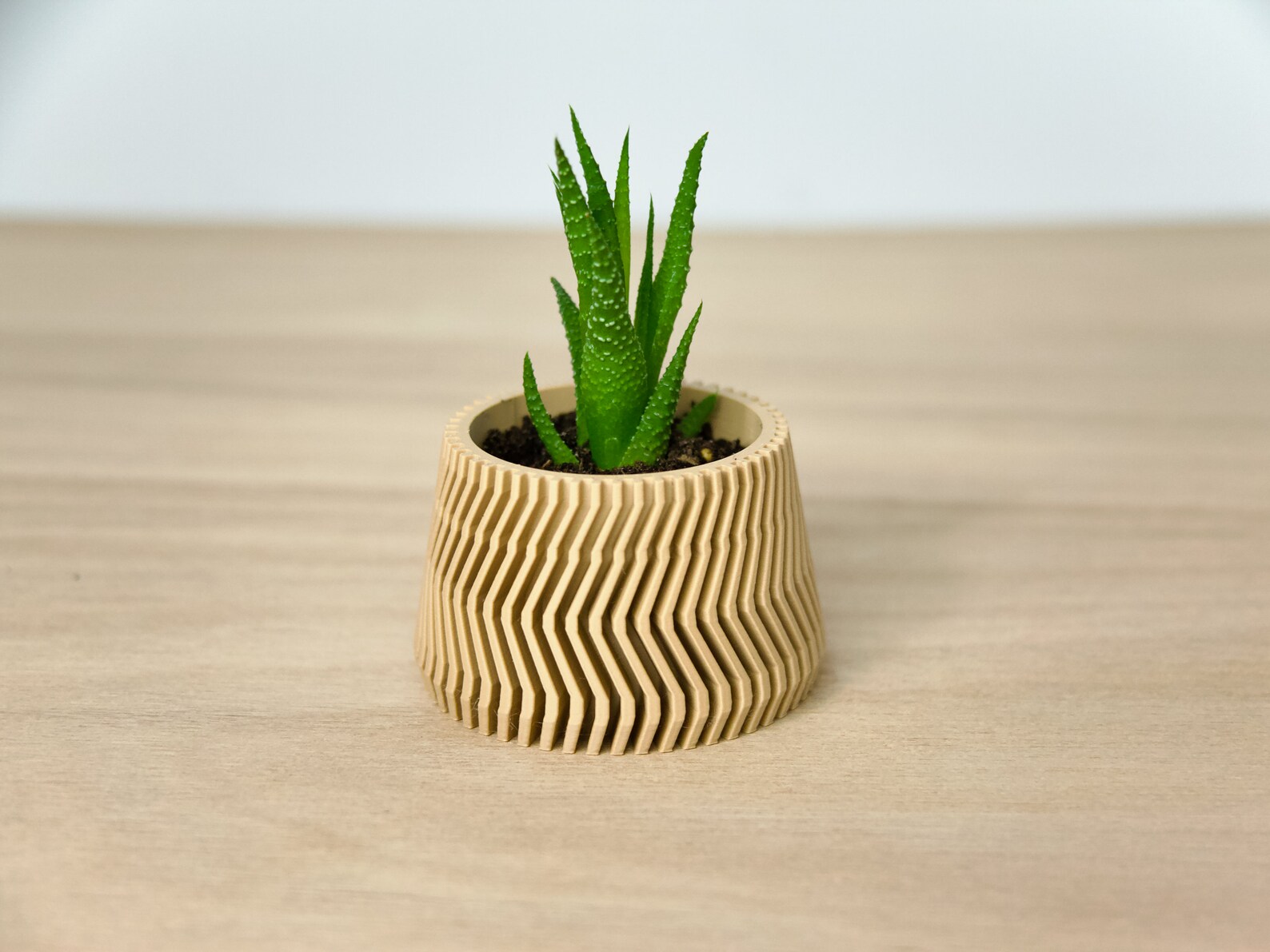 Aztec and Oceanside Plant Pot Set - Lightweight Coastal Succulent ...