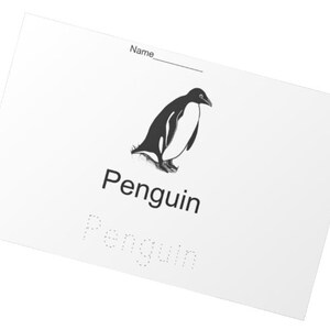 Preschool Alphabet Tracing Coloring Set Complete A-Z Activity Worksheet ...