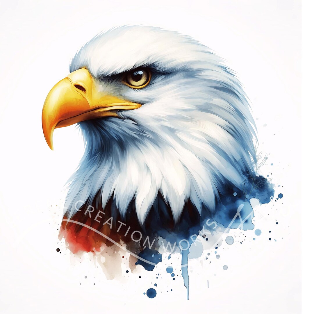 Watercolor Eagle Clipart 10 Watercolor Jpgs Eagle Clip Art, Clipart ...