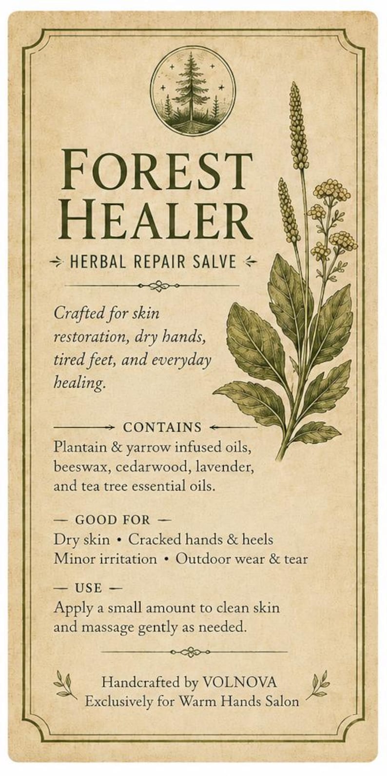 Homemade Small Batch Salve - Plantain and Yarrow - Etsy Australia