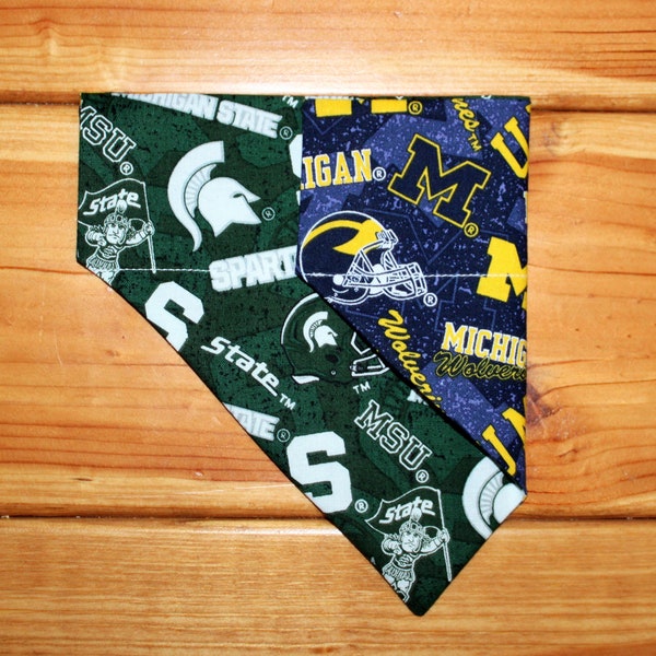 Michigan Divided - Etsy
