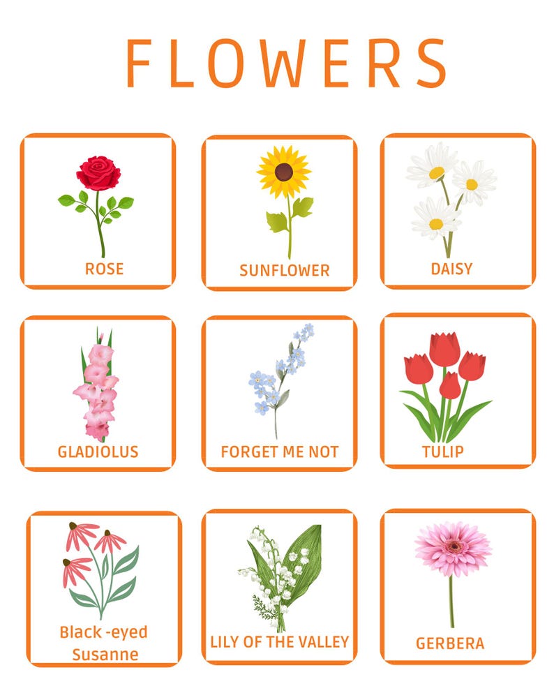 Interactive Plant and Animal Cards Educational Printable Cards for ...