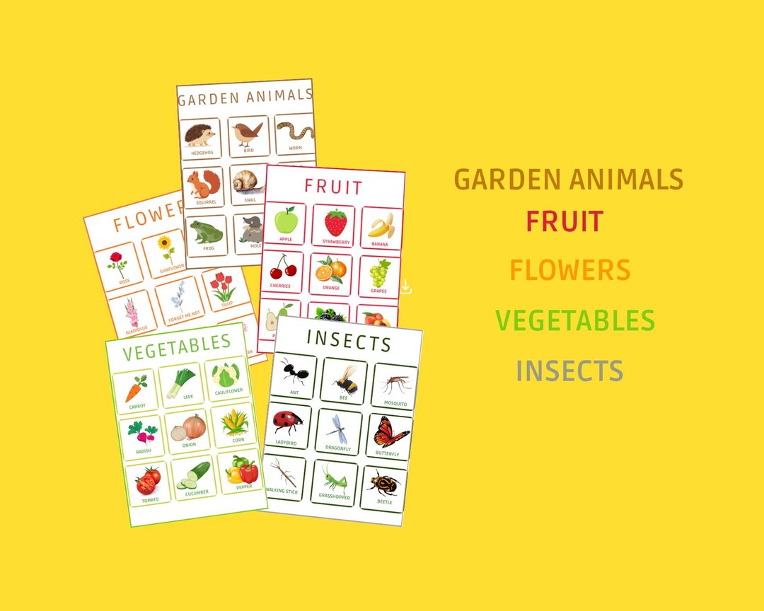 Interactive Plant and Animal Cards Educational Printable Cards for ...