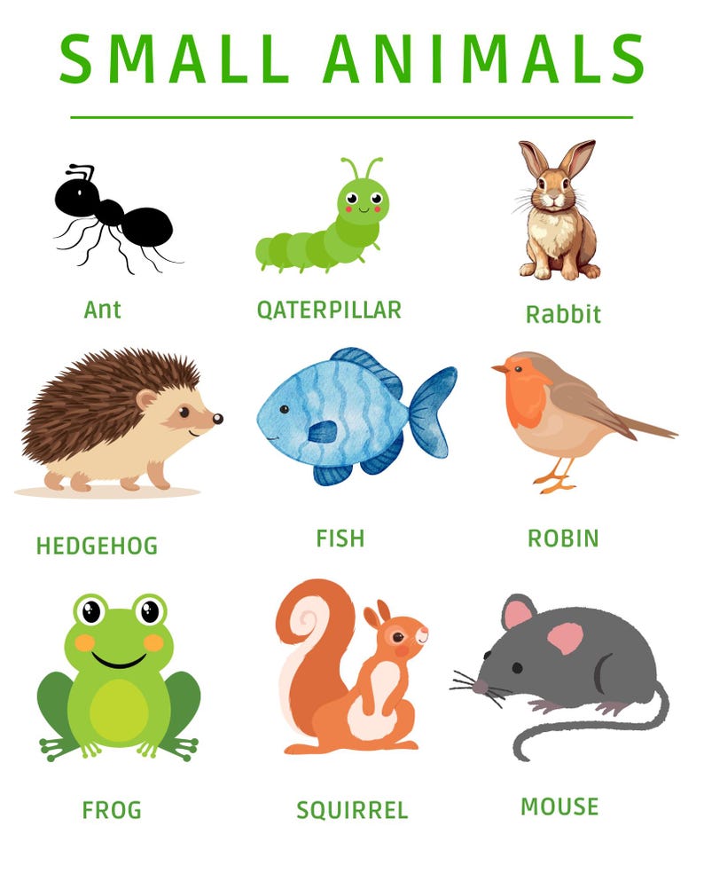 Printable Educational Cards About the Beach, the Forest, Small Animals ...