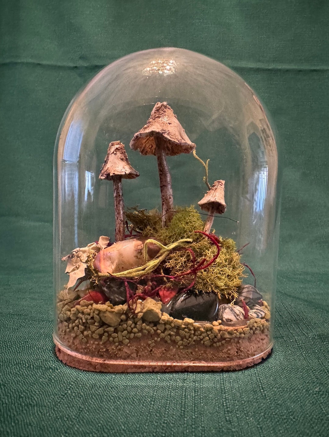 Small Mushroom Cloche Dome - Etsy