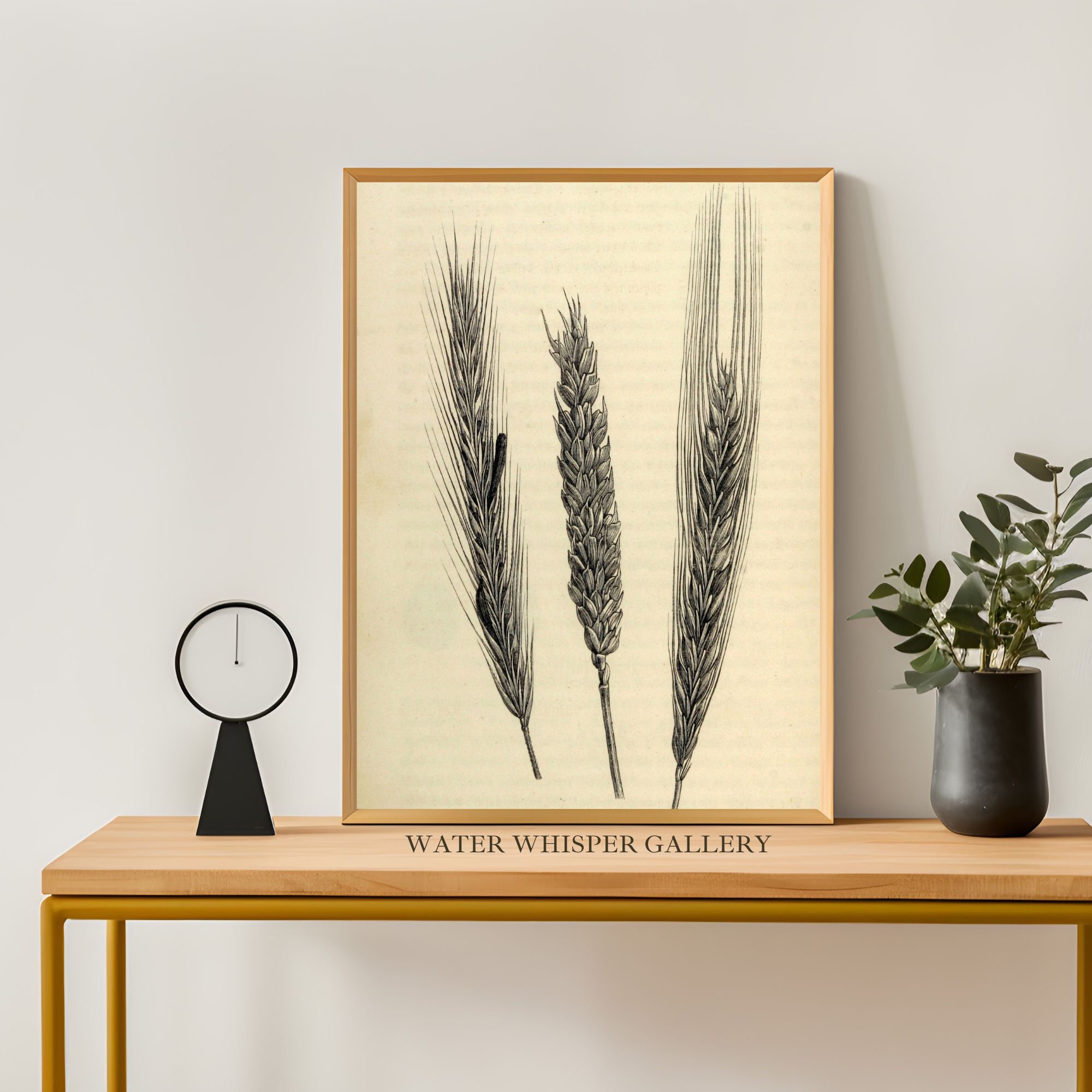 Vintage Wheat Botanical Print | 19th Century Farmhouse Art (digital ...