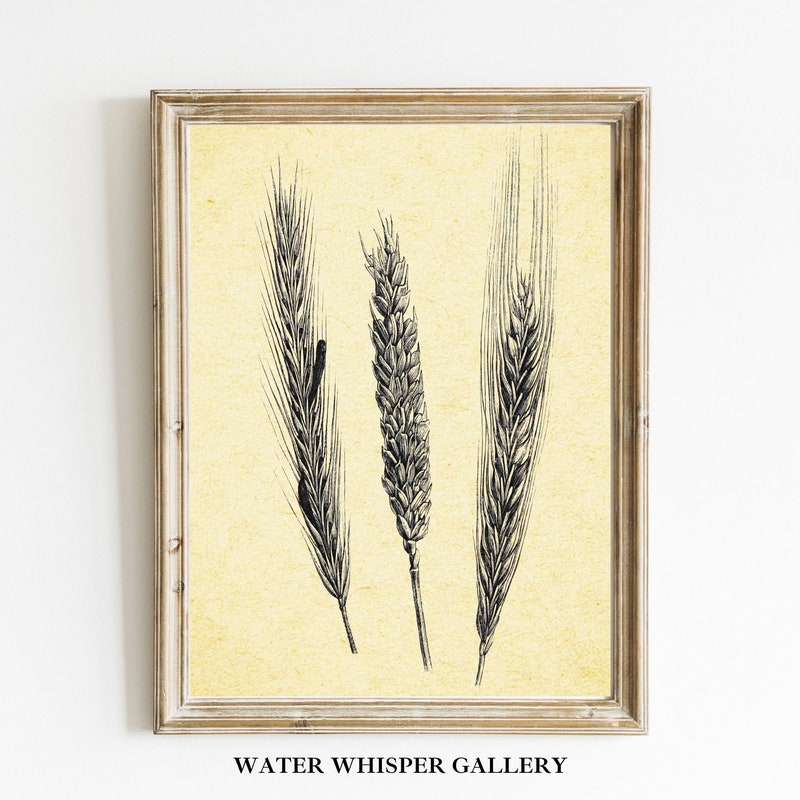 Wheat Wall Art - Etsy