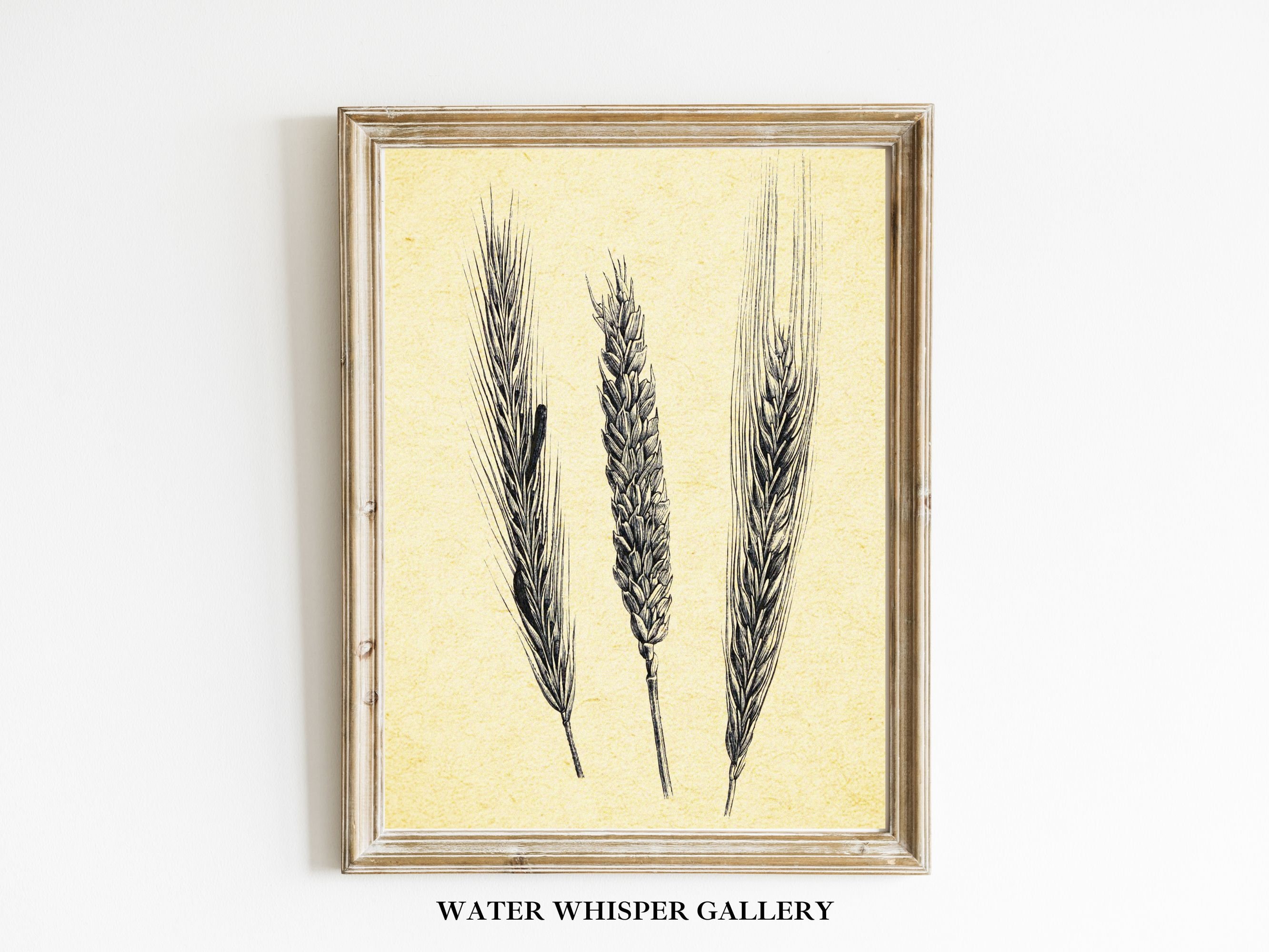 Vintage Wheat Botanical Print | 19th Century Farmhouse Art (digital ...