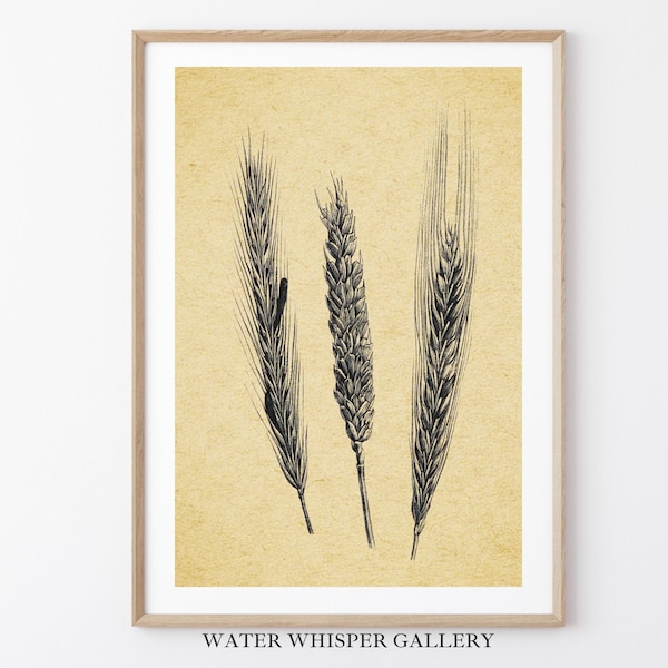 Wheat Wall Art - Etsy