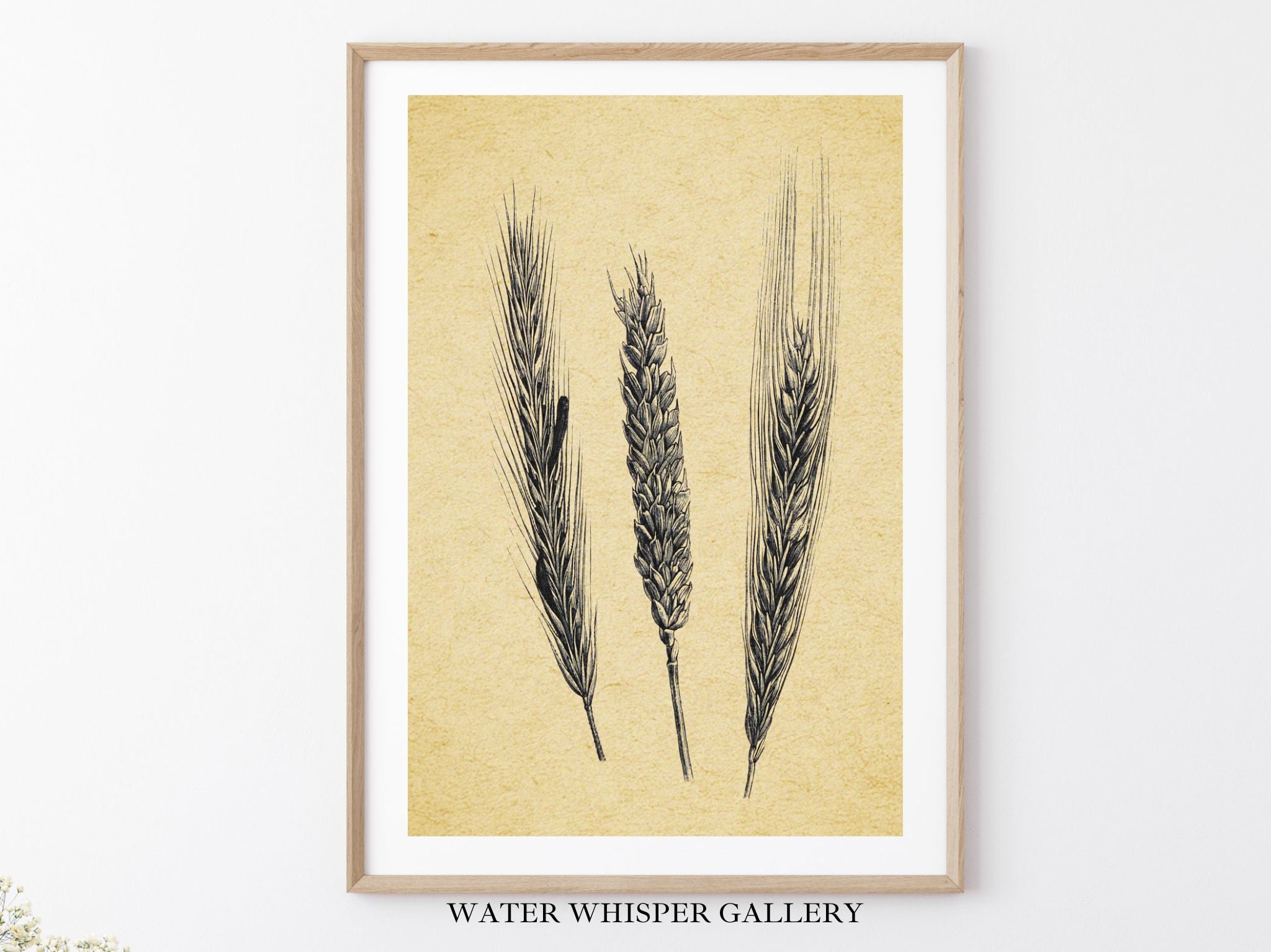 Vintage Botanical Print Wheat Wall Art Farmhouse Decor Harvest Wall Art ...
