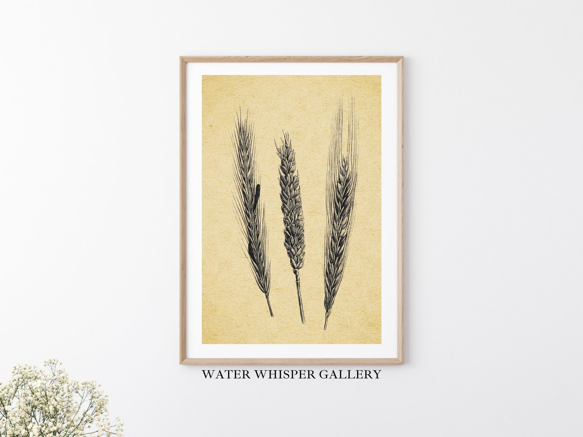Vintage Wheat Botanical Print | 19th Century Farmhouse Art (digital ...