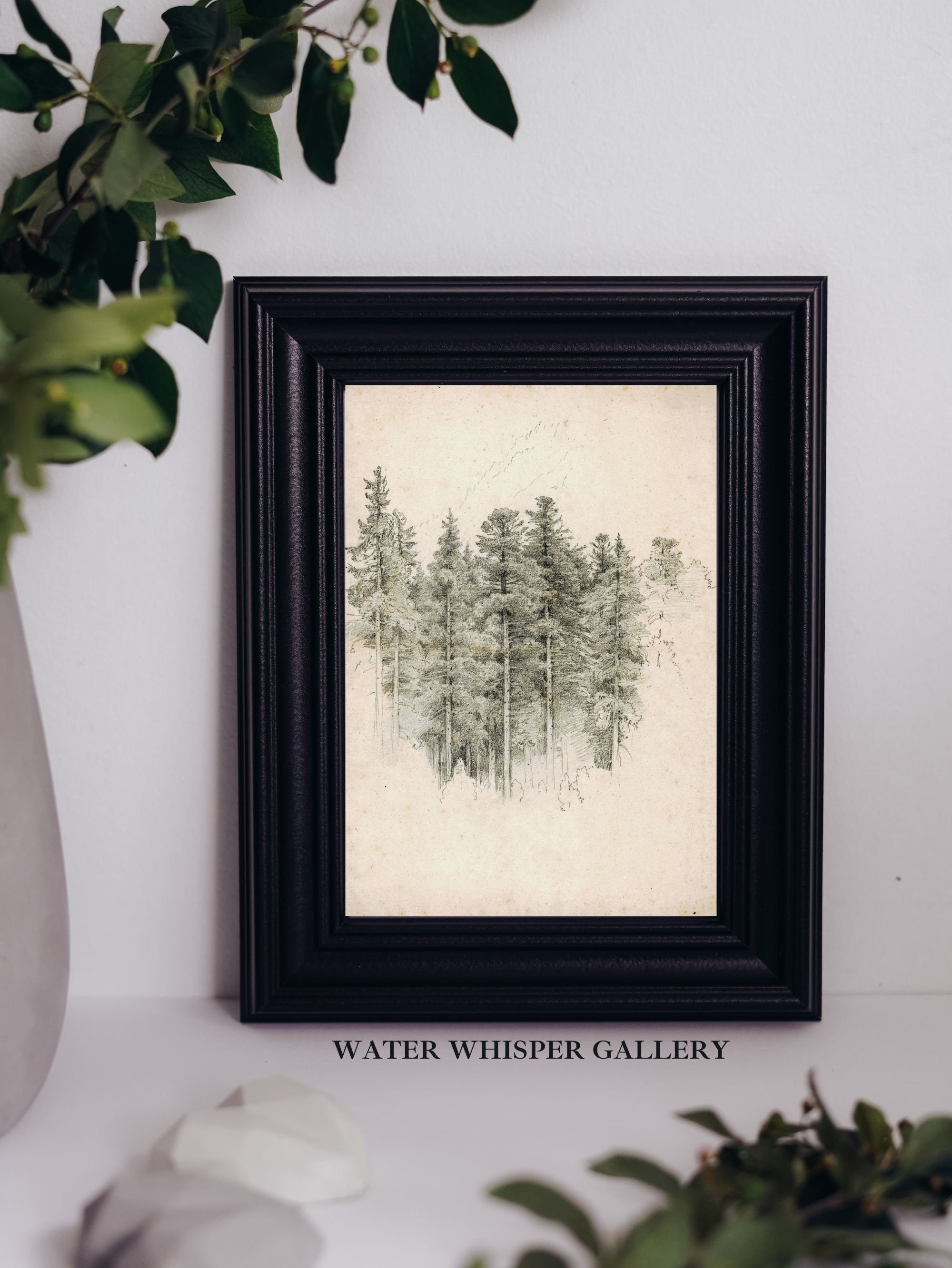 Vintage Pine Tree Sketch Pencil Drawing, Botanical Art Print, Pine Tree ...