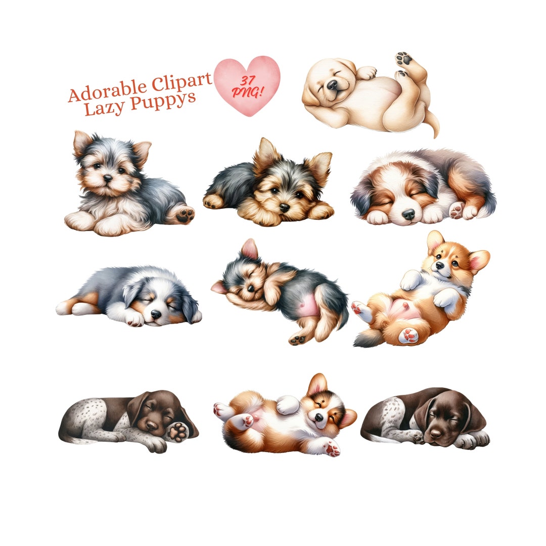 Watercolor Puppy Clipart Bundle: 37 PNG Files (digital Download) - Etsy