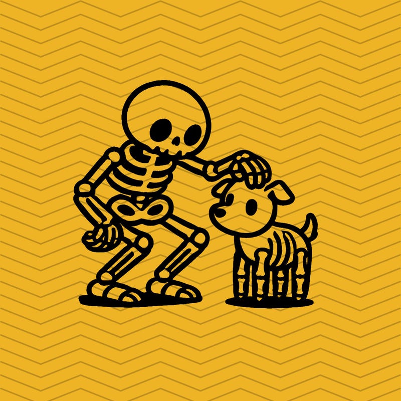Dog Skeleton - Etsy