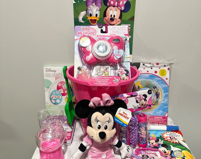 Minnie Mouse Themed Basket - Etsy