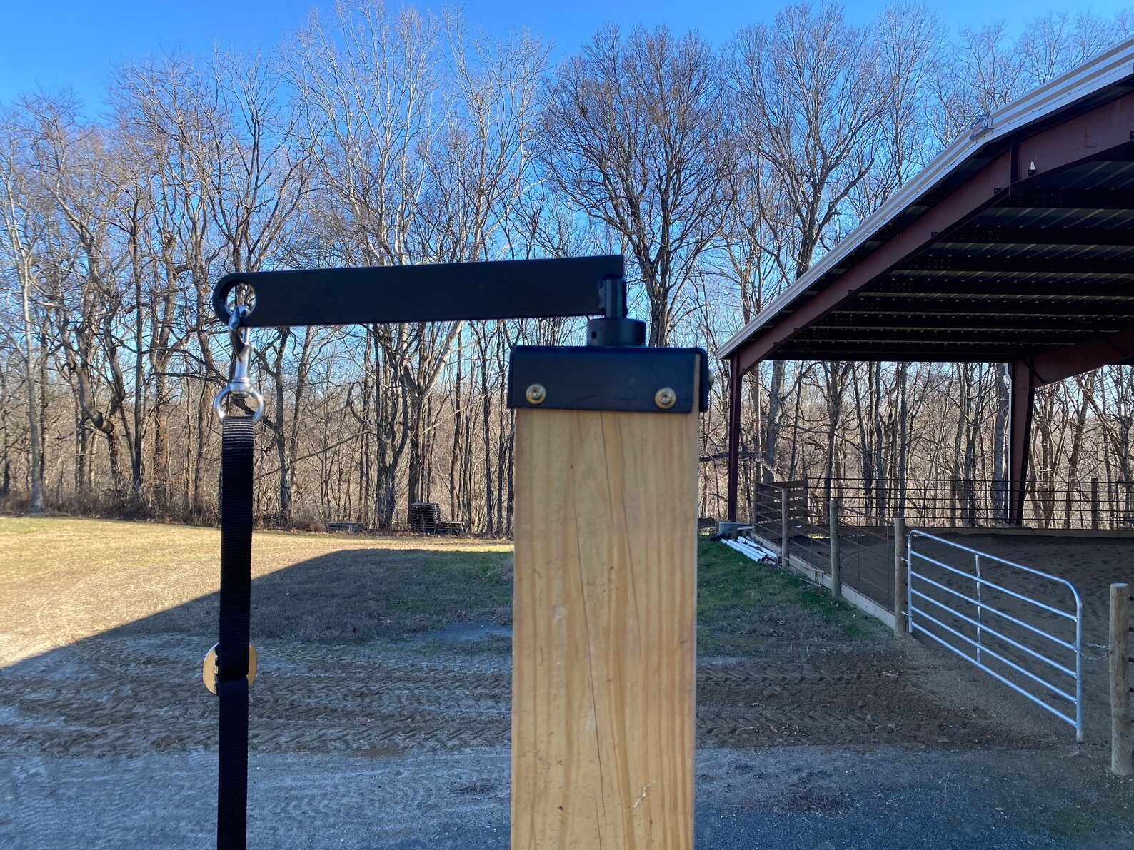 Patience Post for Horses - Etsy