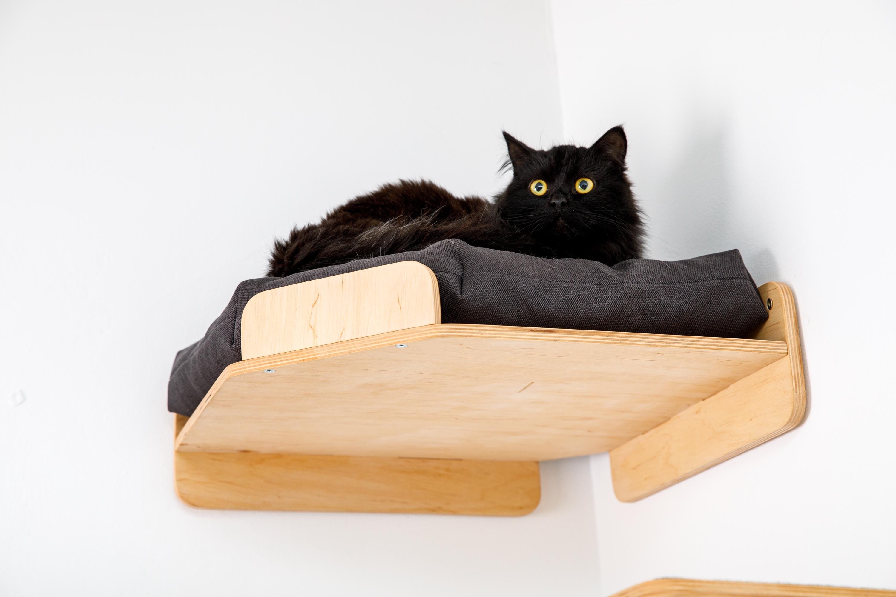 Corner Cat Wall Shelf With Bed, Modern Cat Wooden Furniture, Scratcher ...