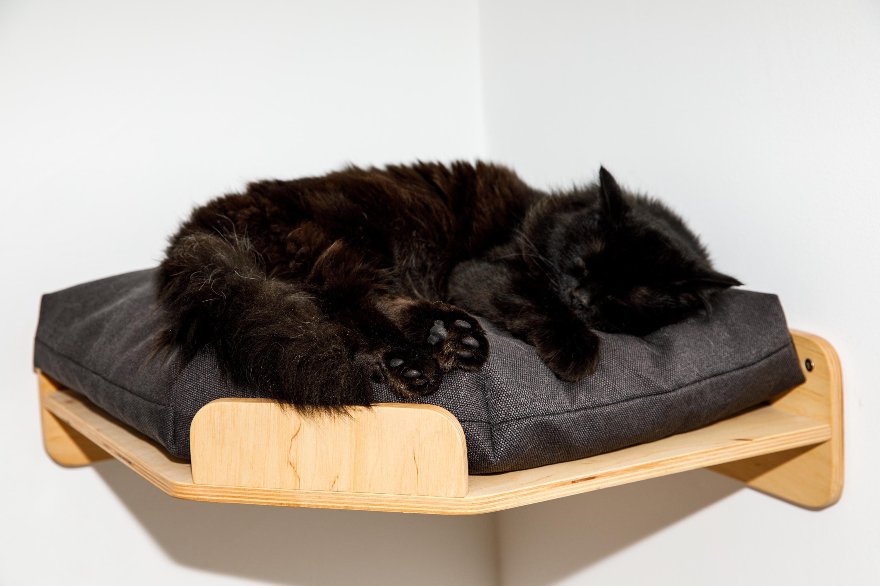 Cat Shelf for 2 Cats, Large Cat Bed, Corner Wall Shelf for Big Cats ...