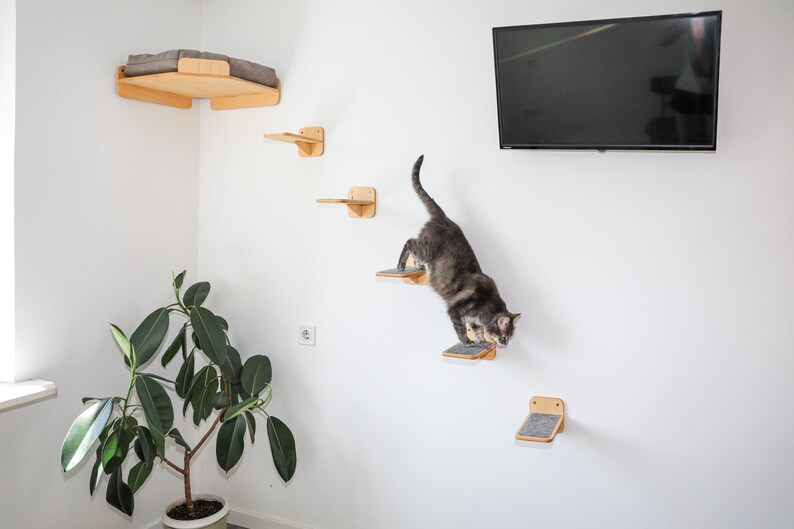 Corner Cat Wall Shelf With Bed, Modern Cat Wooden Furniture, Scratcher ...