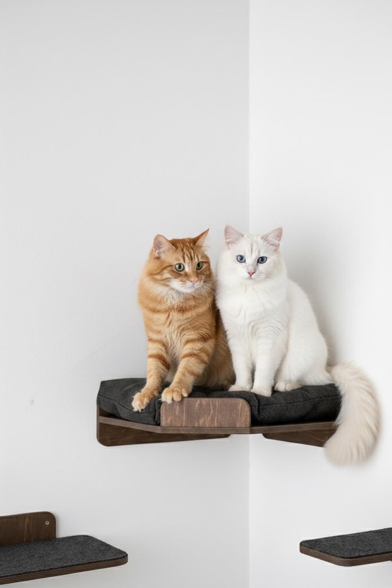 Set of Cat Wall Furniture, Big Shelf for Cats With Steps and Scratch ...