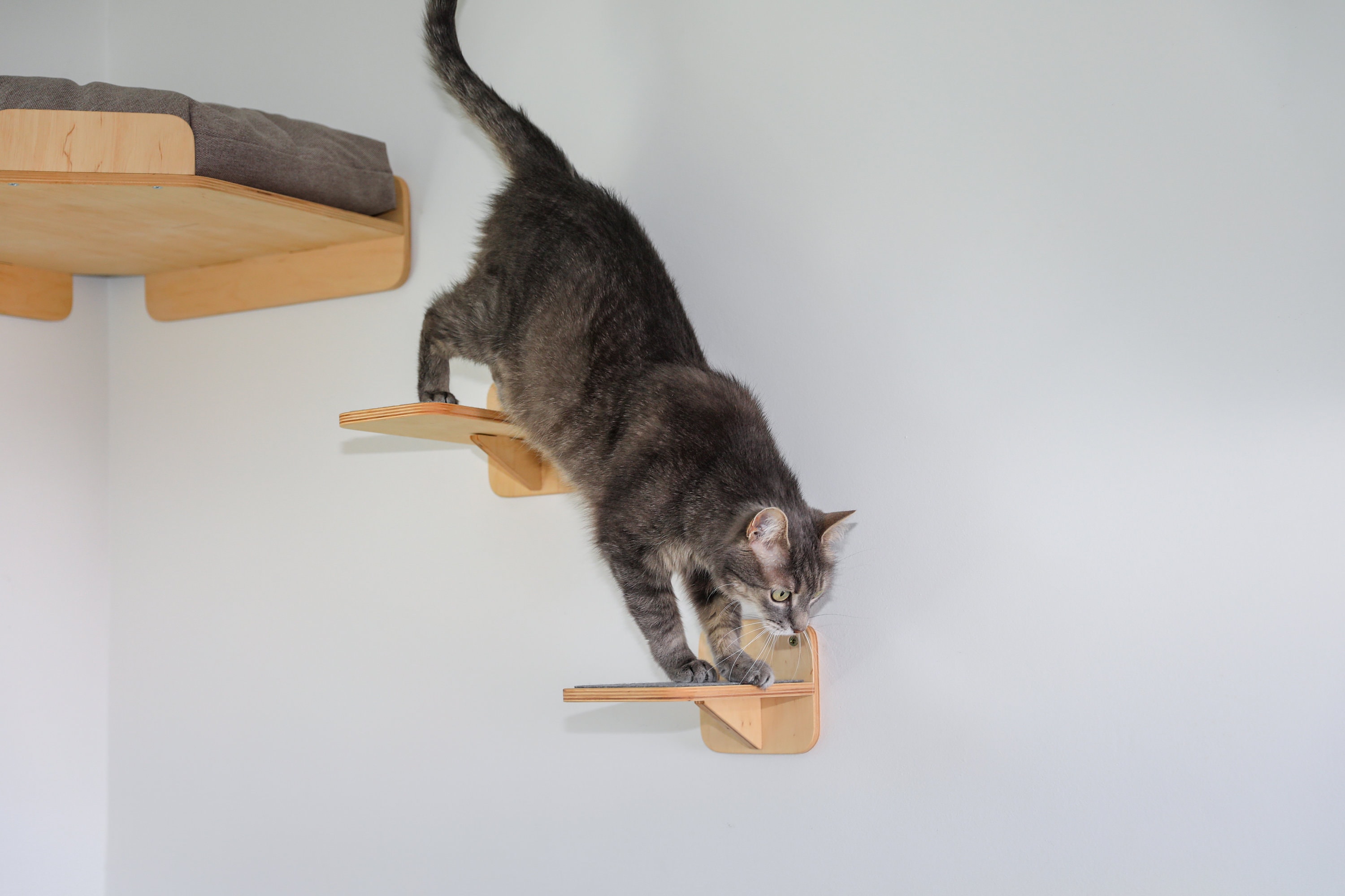 Big Corner Cat Shelf, Cat Bed, Cat Shelves, Set of Cat Wall Furniture ...