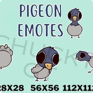 Dancing Animated Pigeon Emotes - Gif -twitch - Discord - Etsy