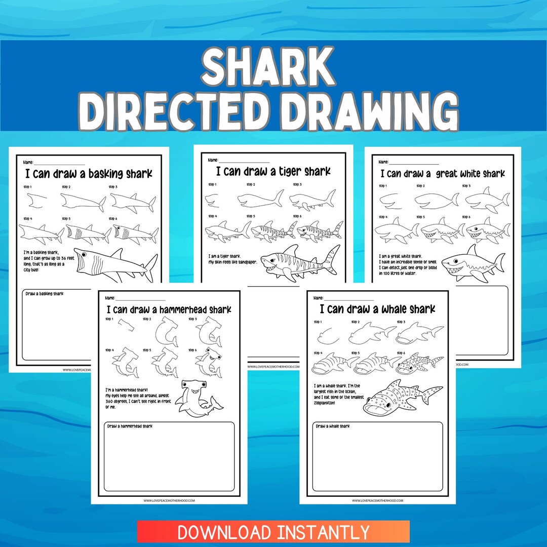 Learn How to Draw Sharks for Kids Shark Directed Drawing Printable ...