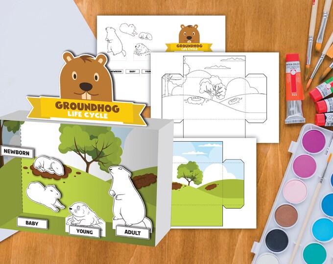 Groundhog Life Cycle Activity Pack – Fun and Educational Resource for ...