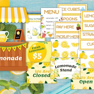Lemonade Stand Dramatic Play Center - Etsy