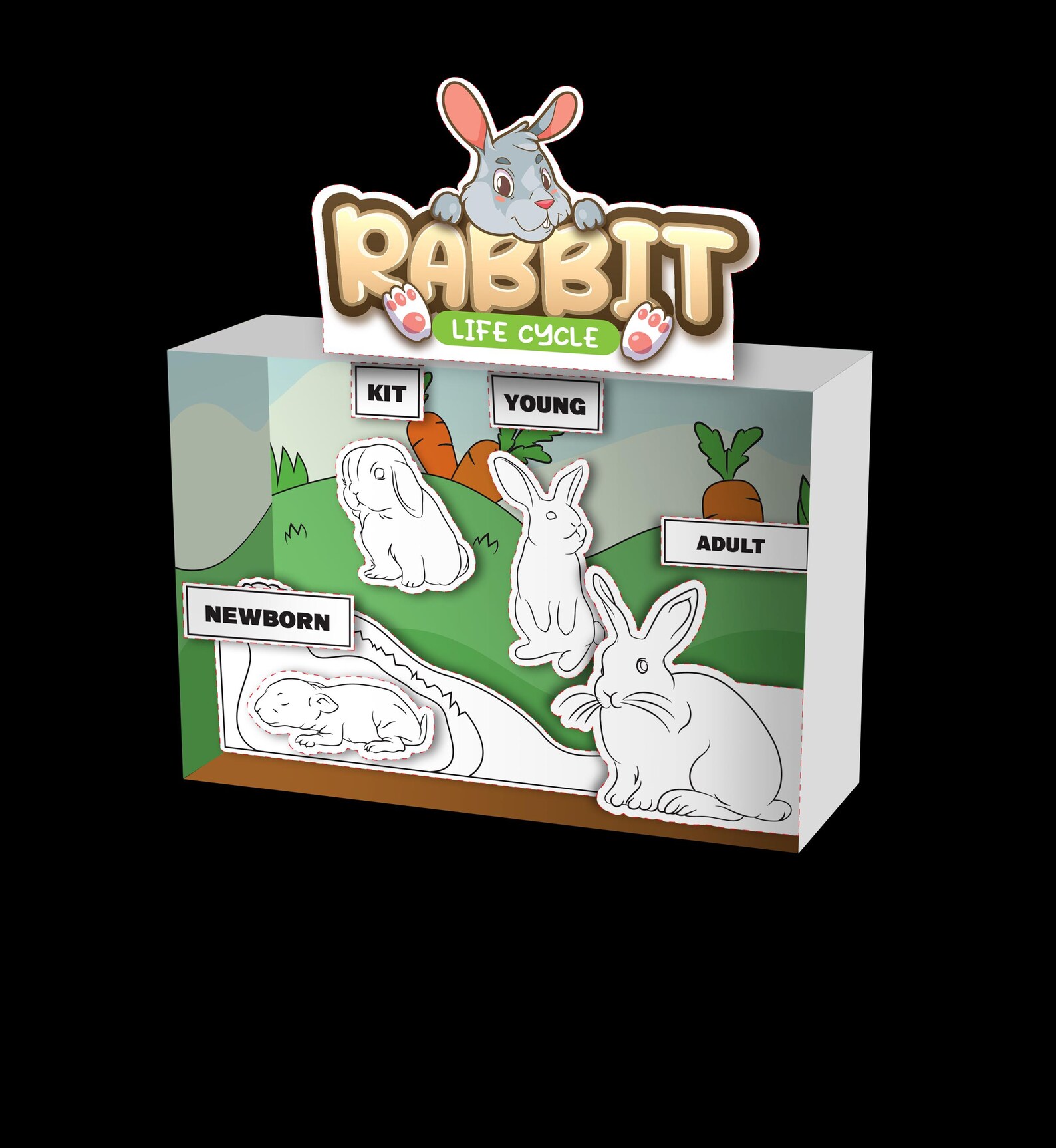 Rabbit Life Cycle Rabbit Diorama Printable Rabbit Life Cycle Worksheet ...