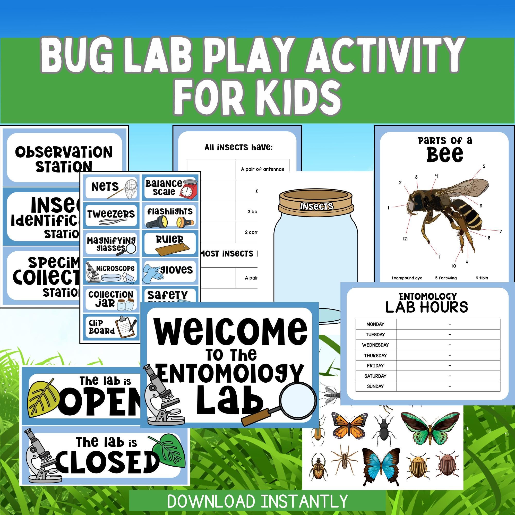 Bug Lab Sensory Bin Insect Science Activity STEM Pretend Play ...