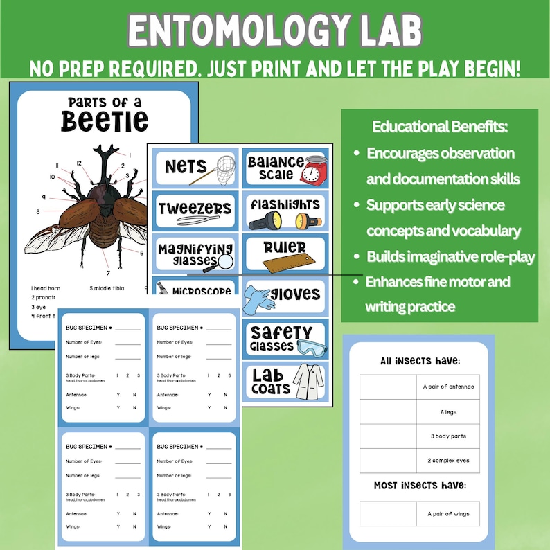Bug Lab Sensory Bin Insect Science Activity STEM Pretend Play ...