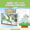 Groundhog Life Cycle Activity Pack – Fun and Educational Resource for ...