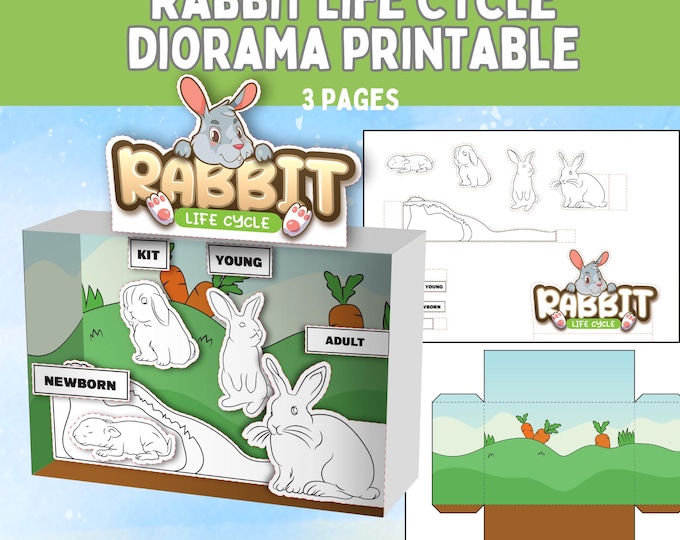 Rabbit Life Cycle Foldable Learning Activity for Kids | A4 and 11x8.5 ...