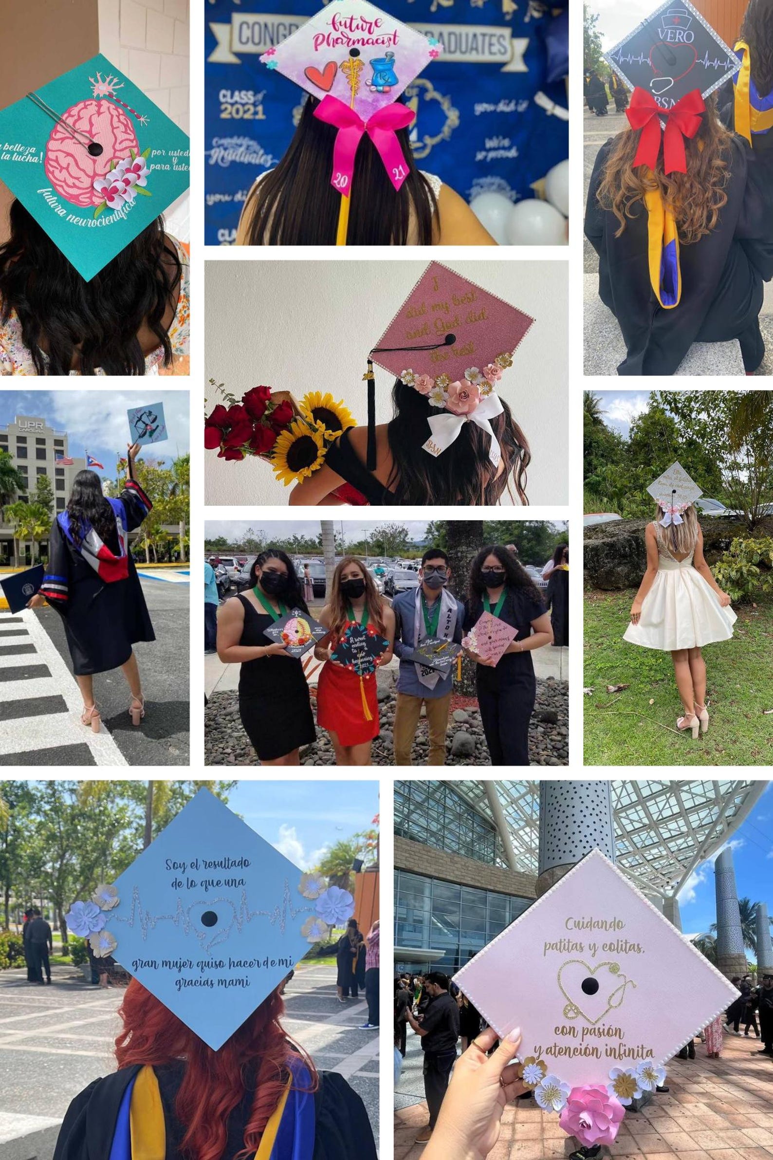 Brain Graduation Cap Topper: Psychology, Neuroscience, & Science - Etsy