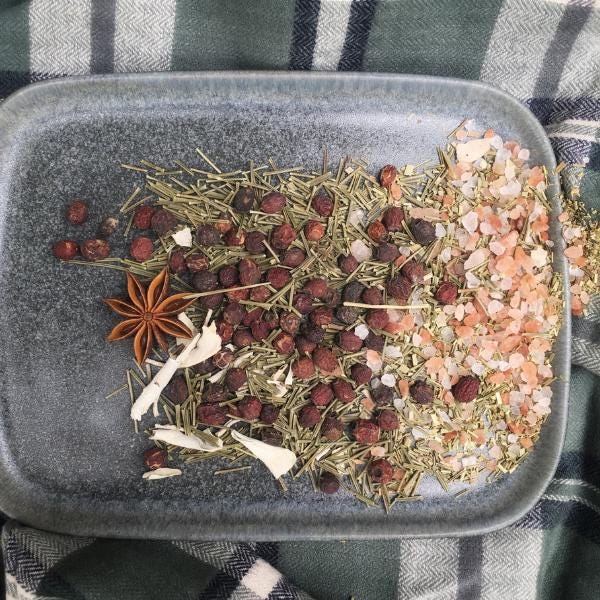 Evergreen Simmer Pot, Walk in the Woods Simmer Blend, Pine Stovetop ...