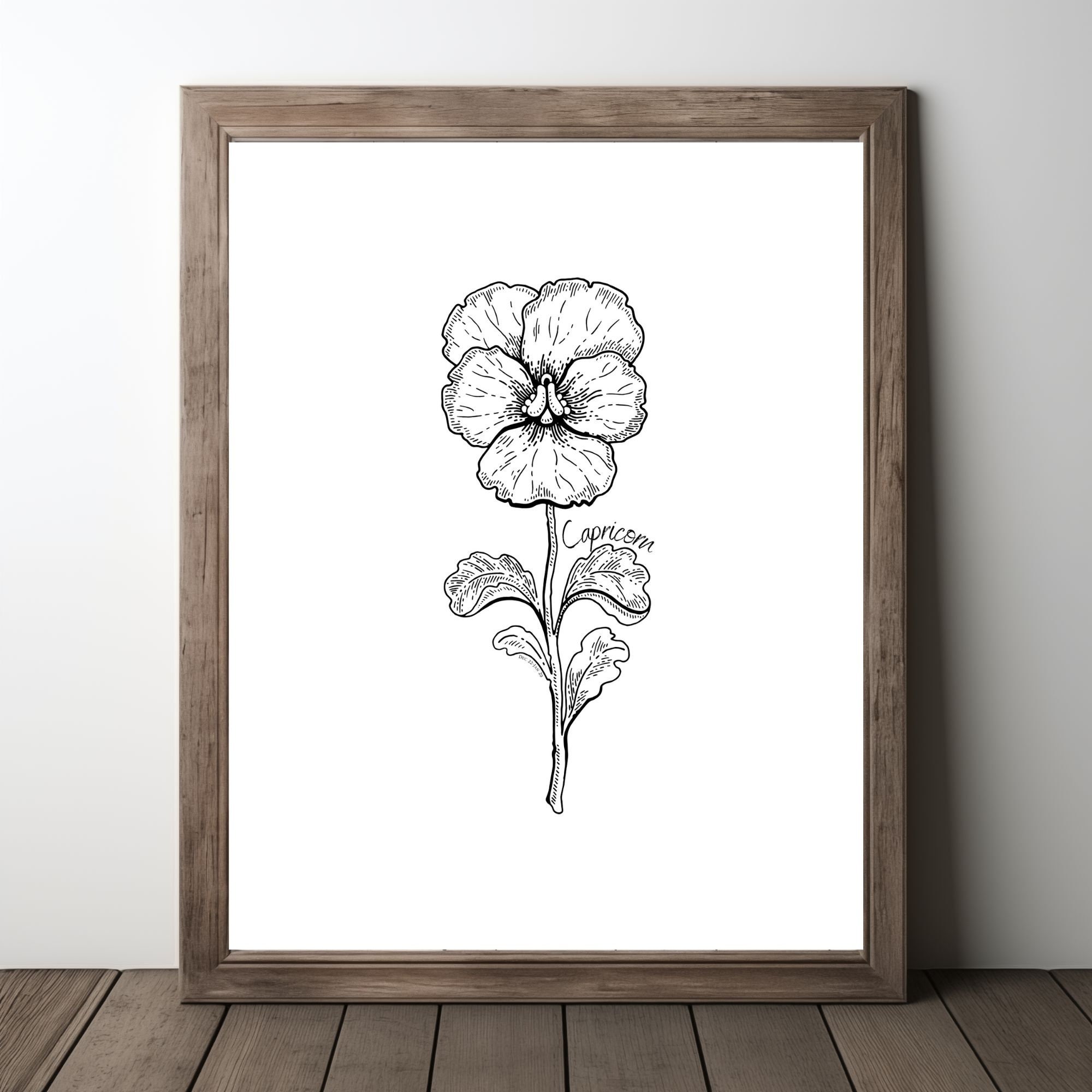 Capricorn Astrology Zodiac Sign Flower Pansy Black White Line Art ...