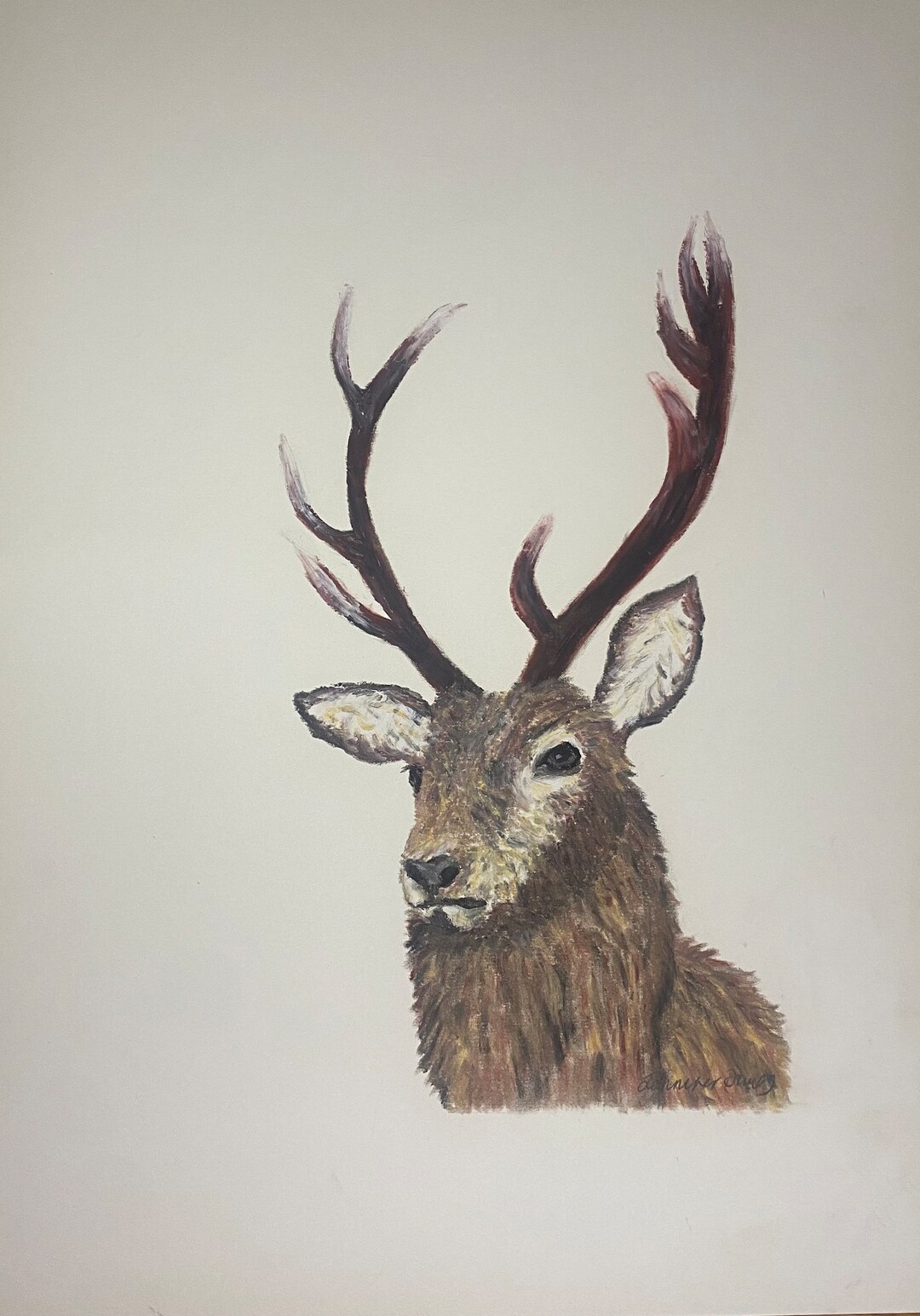 Original Red Deer - Etsy