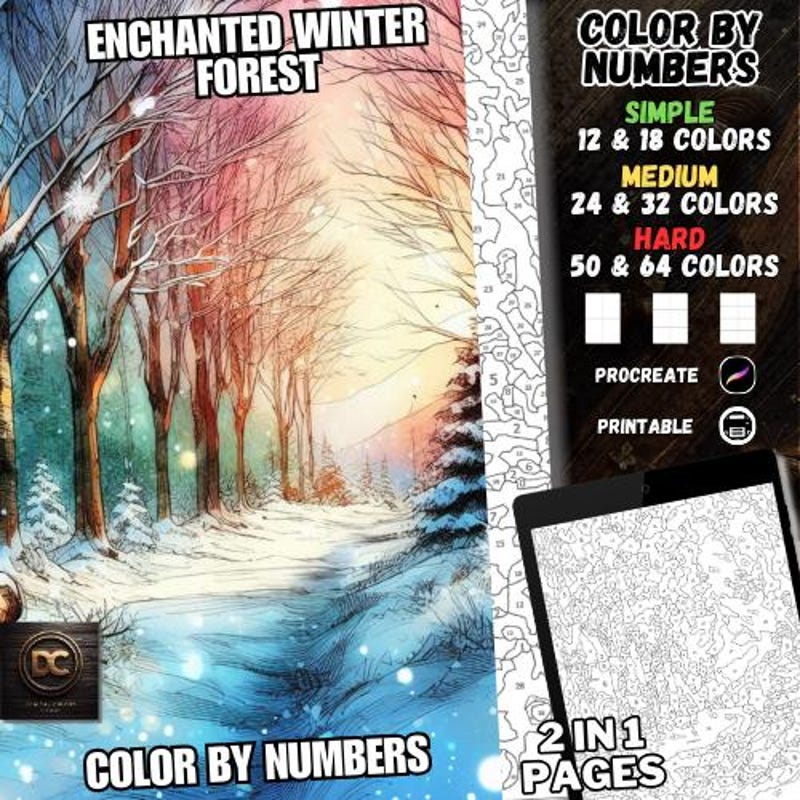 Winter Paint by Number - Etsy