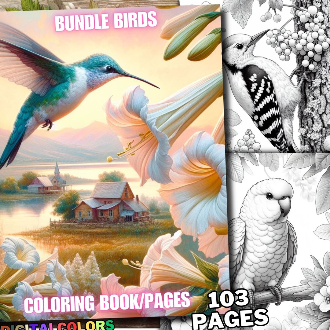 103 Bundle Birds Coloring Pages, Bird Coloring Book, Spring Animal ...