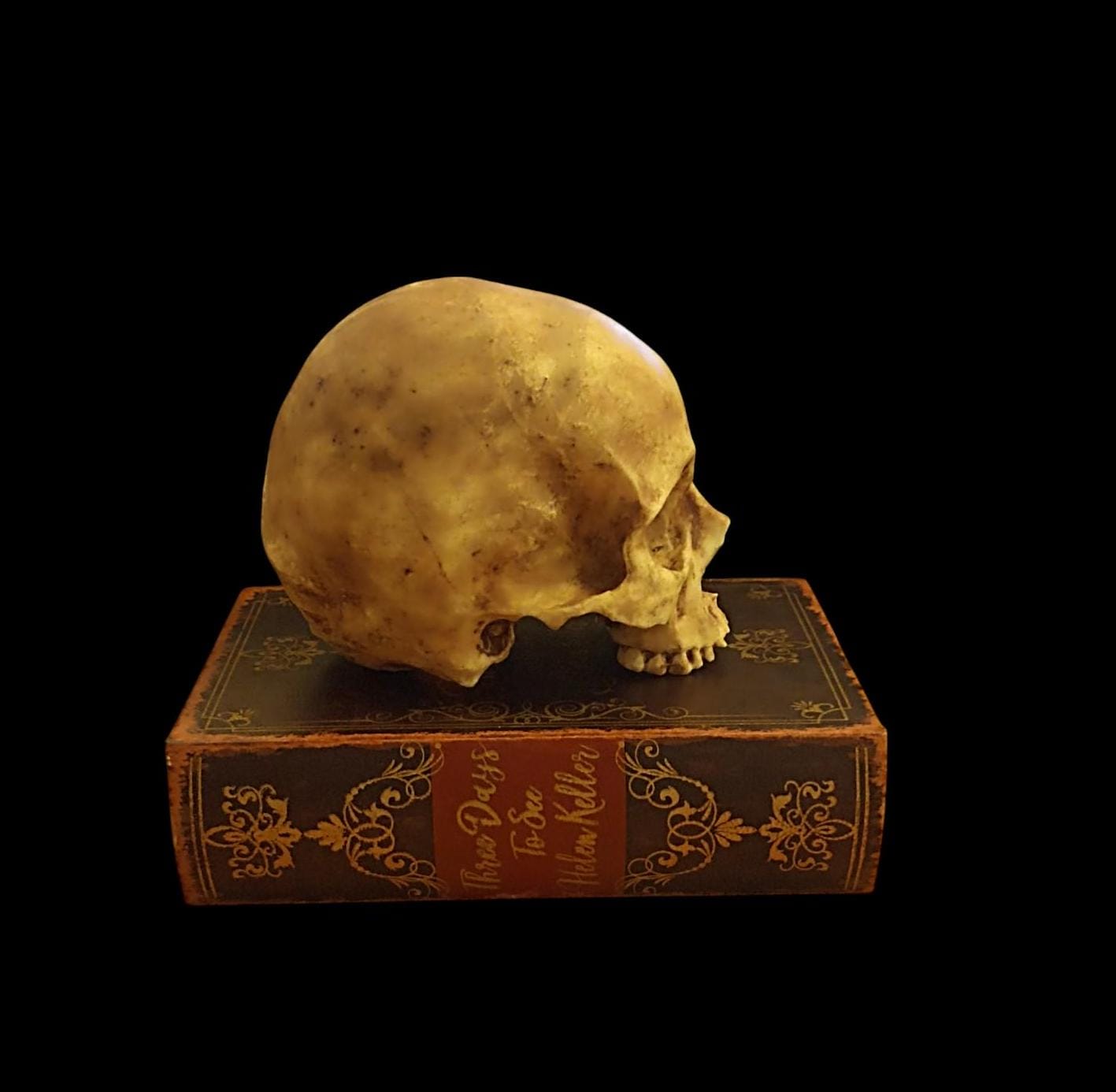 Realistic Human Skull Lamp Shade, Aged Resin Skull Table Lamp, Gothic ...