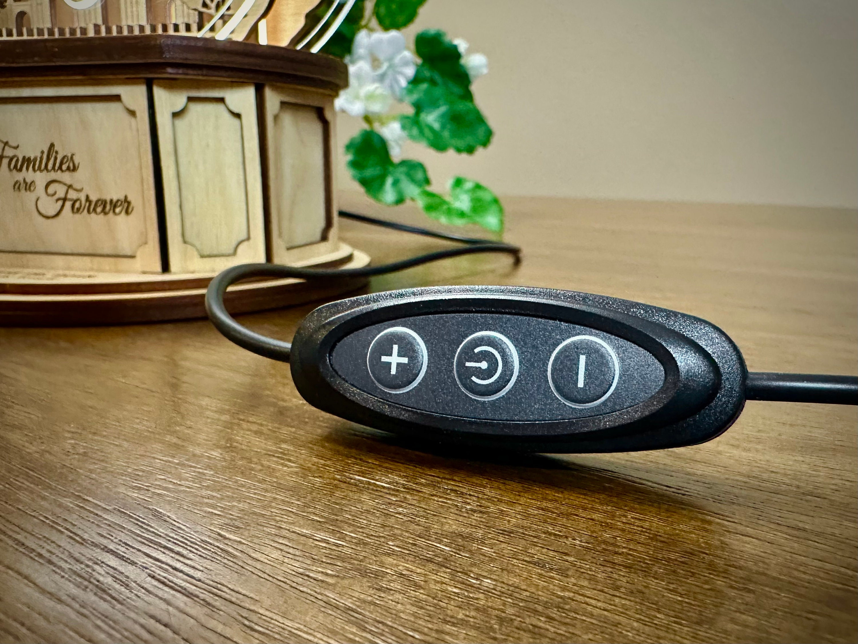 Sacred Light: LDS Temple Display With Edge-lit 3D Effect - Etsy